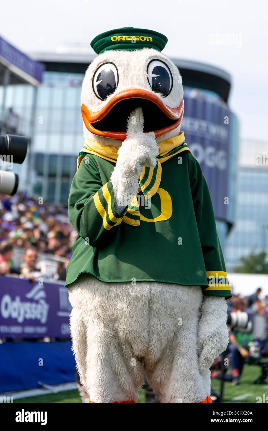 CHICAGO, IL - SEPTEMBER 13: The Oregon Duck mascot poses for a photo ...