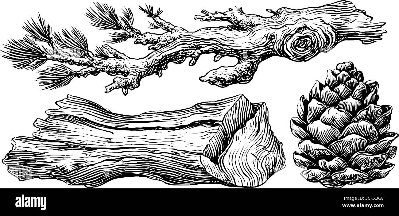 Elegant twisted pine branches and layered bark texture for natural ...