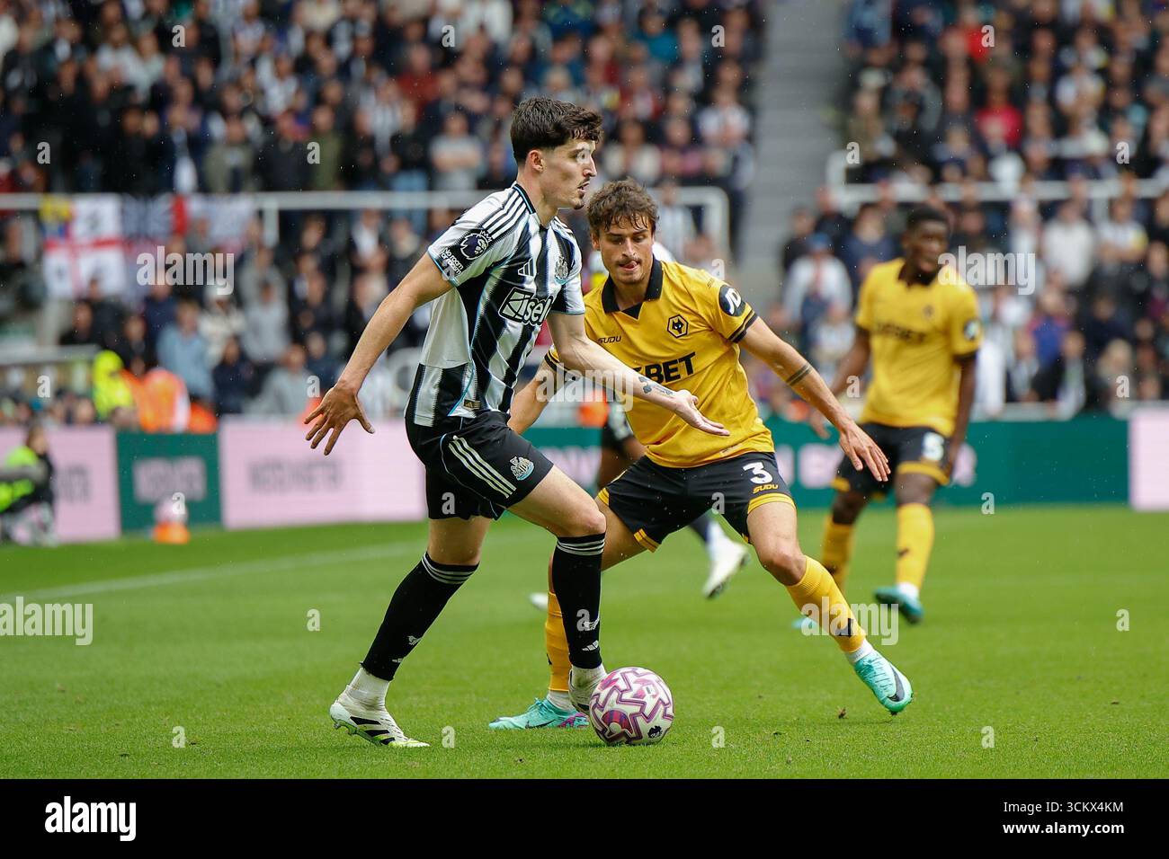 13th September 2025; St James Park, Newcastle, England; Premier League Football, Newcastle ...