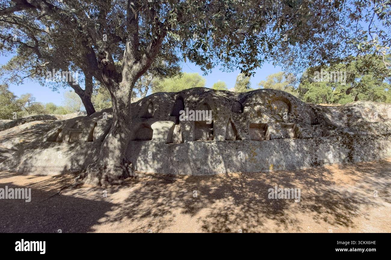 Ancient rock-cut altar with multiple niches under oak trees in Sardinia ...