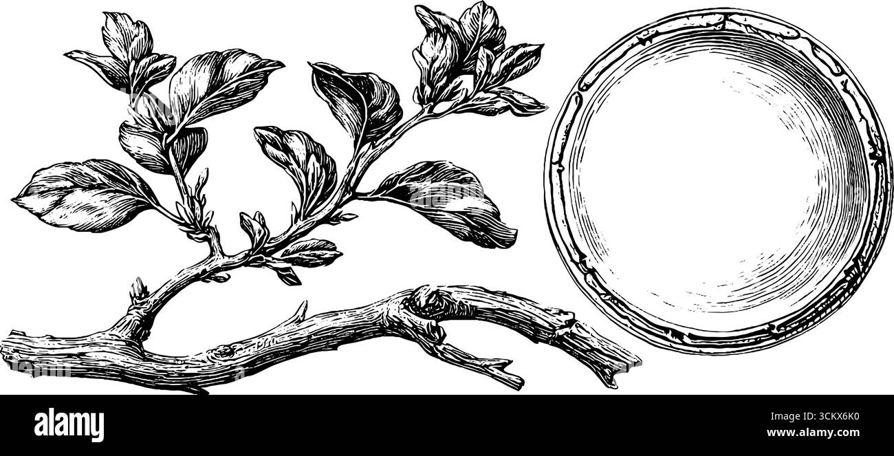 Engraved rune board and curled tree branch for mystical design and ...