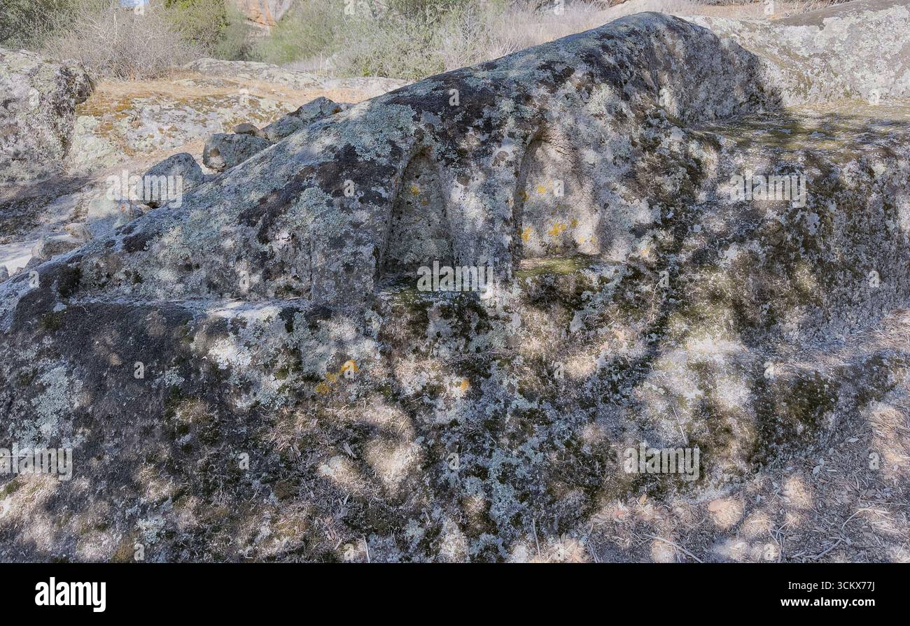 Ancient rock-cut altar with multiple niches under oak trees in Sardinia ...