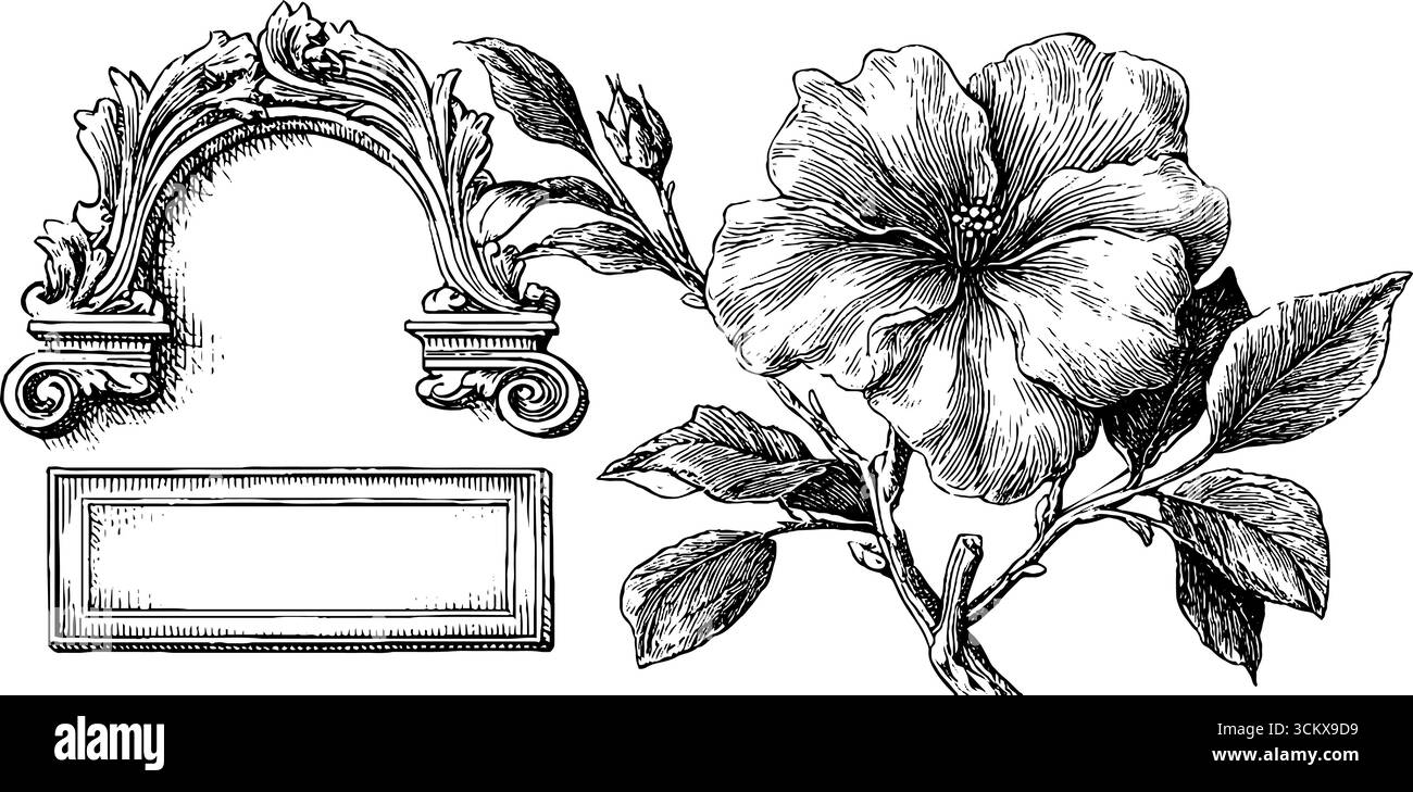 Gothic arch border art Stock Vector Images - Alamy