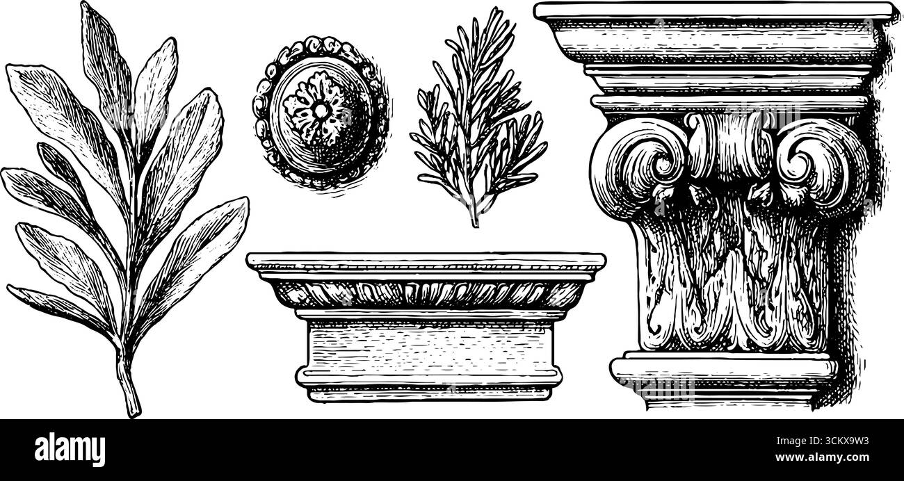 Collection of greek frieze rosette and roman floor mosaic design ...