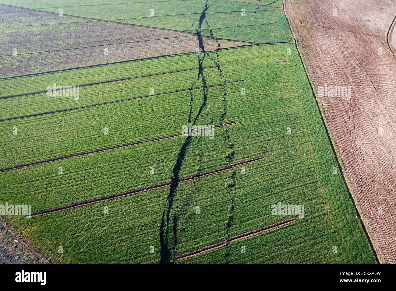Turkey earthquake. Central fault line. Centerline map of affected and ...