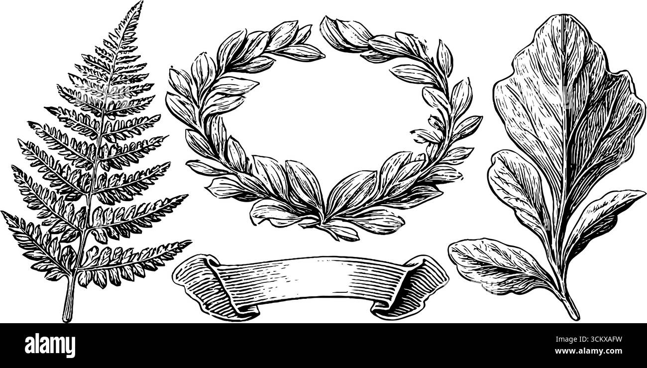 Vintage fern leaf crown and menu border design for botanical artwork ...