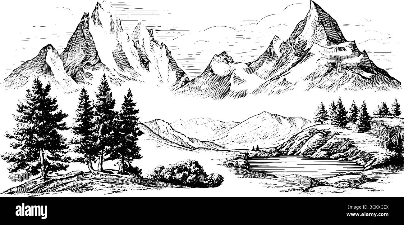 Overlook forest view Cut Out Stock Images & Pictures - Alamy