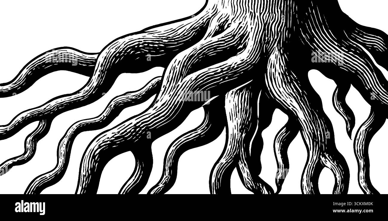 Mystical mandrake root with human-like shape and twisted limbs for ...