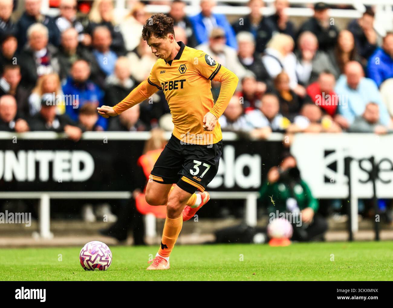 Pedro Lima of Wolverhampton Wanderers in action during the Premier ...