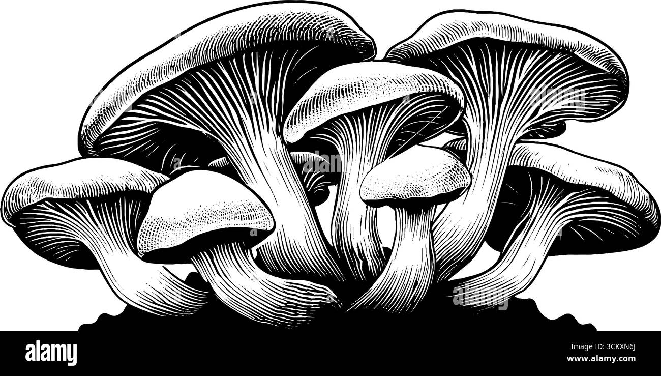 Intricate black and white mushroom cluster with tall stalks and wide ...