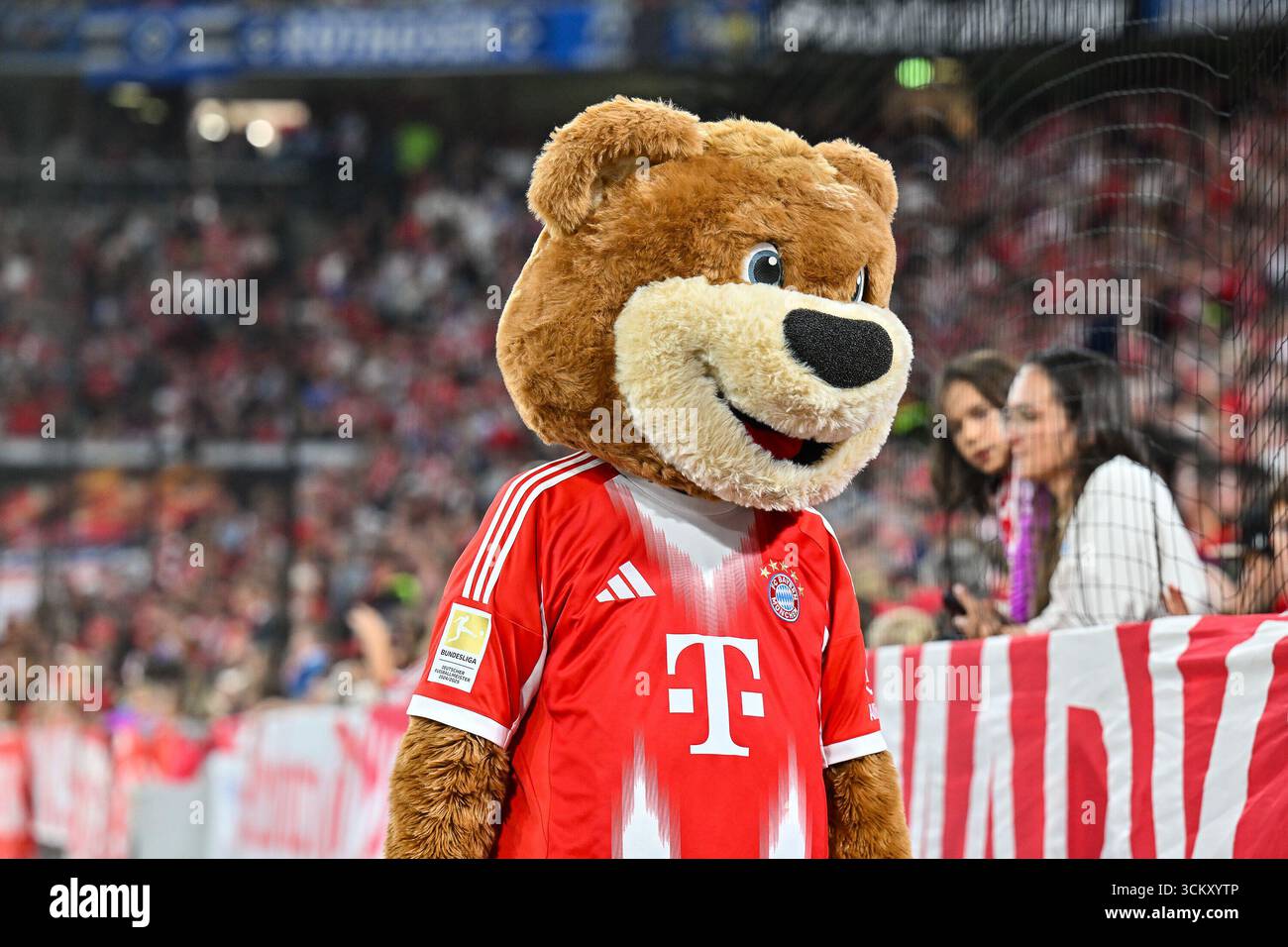 im Bild BERNI - das Maskottchen des FC Bayern / Einzelfoto ...