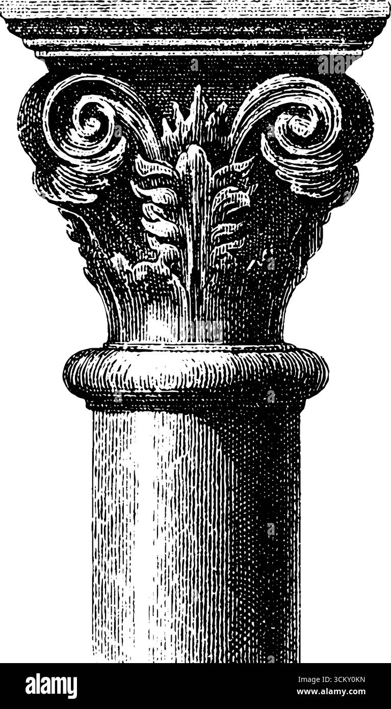 Ornamentalism vector vectors hi-res stock photography and images - Alamy