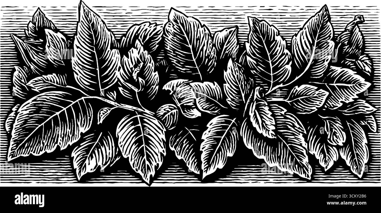 Leaves artwork in forest Stock Vector Images - Alamy