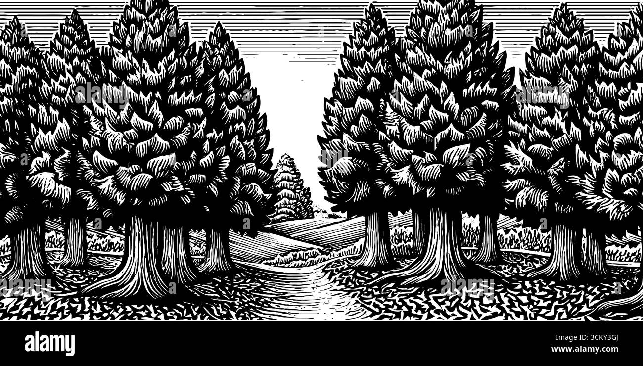 Autumn forest trail Stock Vector Images - Alamy