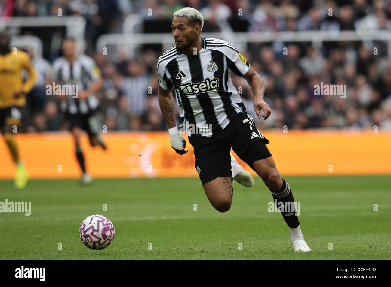 Joelinton Of Newcastle United during the Premier League match between ...