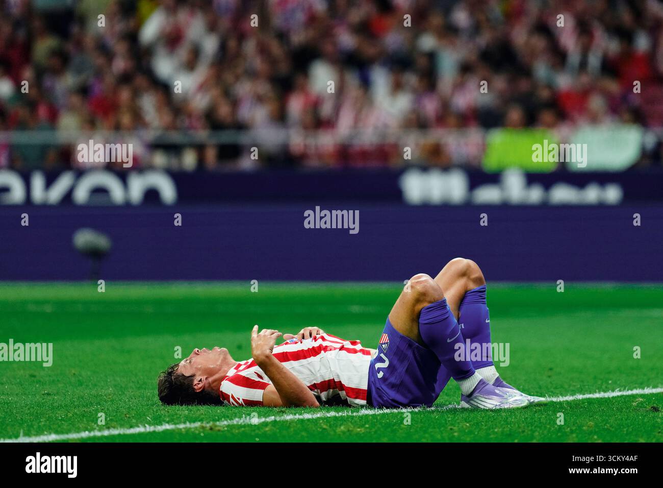 Robin Le Normand of Atletico de Madrid during the La Liga EA Sport ...