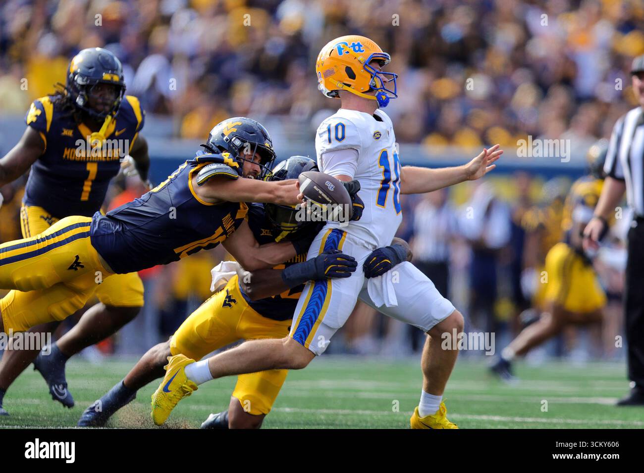 MORGANTOWN, WV - SEPTEMBER 13: Pittsburgh Panthers quarterback Eli ...