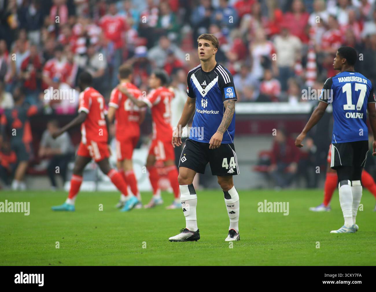 Luka vuskovic hamburger sv stehend auf dem platz hi-res stock ...