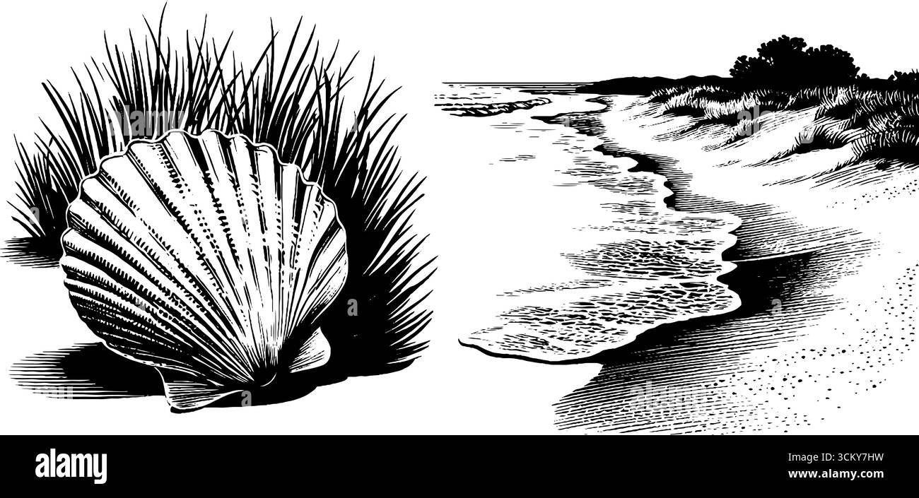 Vintage beach scene with shell and shoreline illustration for retro ...
