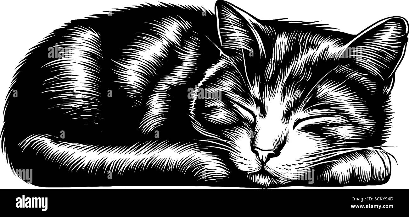 Curled sleeping cat in black and white woodcut engraving design for art ...