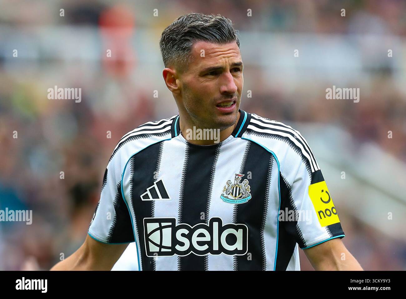 Fabian Schär Of Newcastle United during the Newcastle United FC v ...