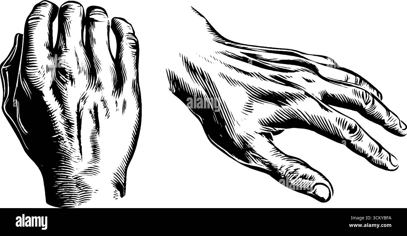 Detailed hand and wrist vein sketch for artistic design Stock Vector ...