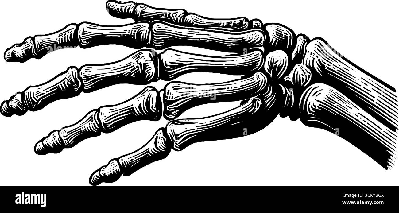 Hand skeleton with extended fingers in black and white art design Stock ...