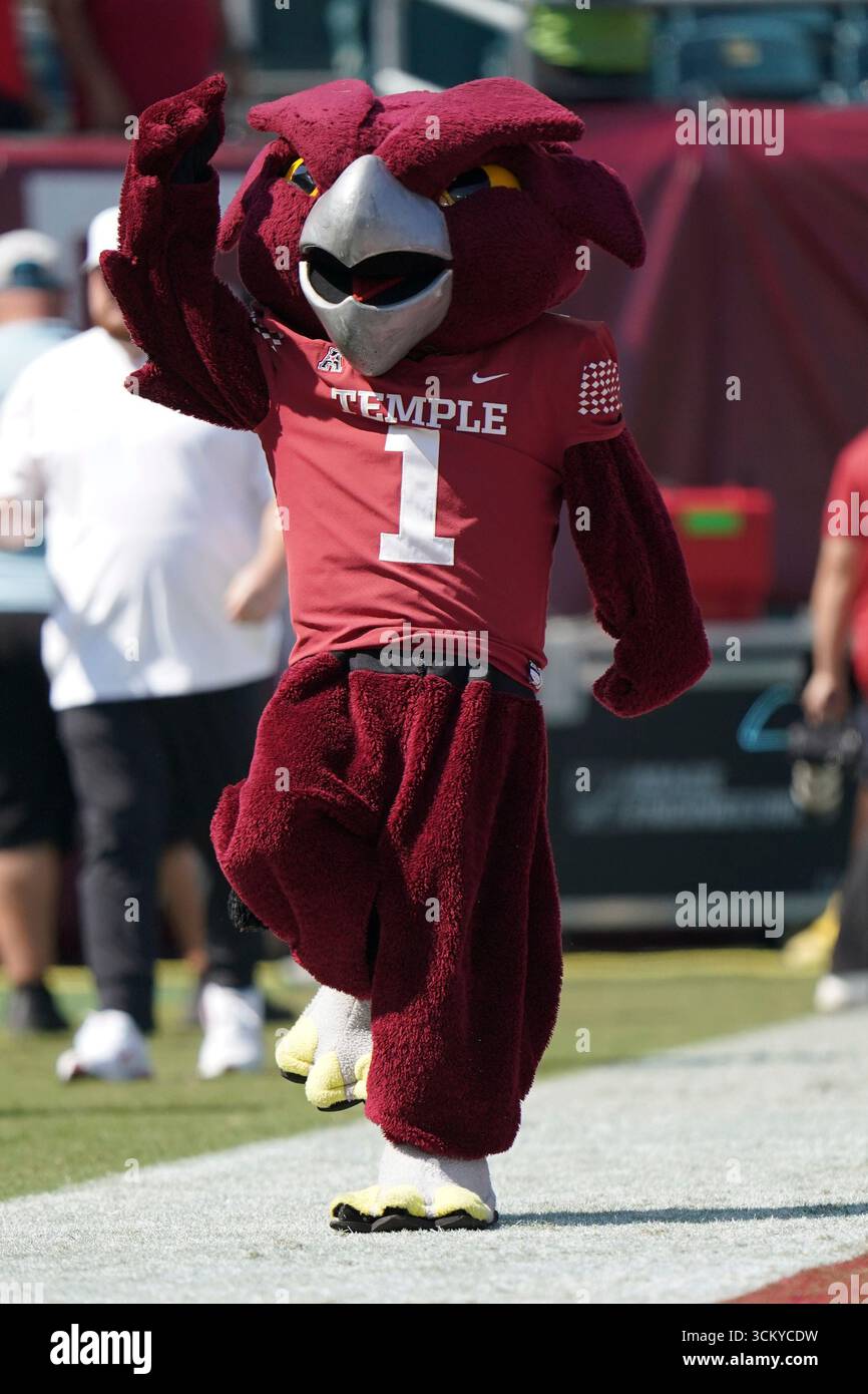 Temple's mascot, Hooter the Owl, before an NCAA football game against ...