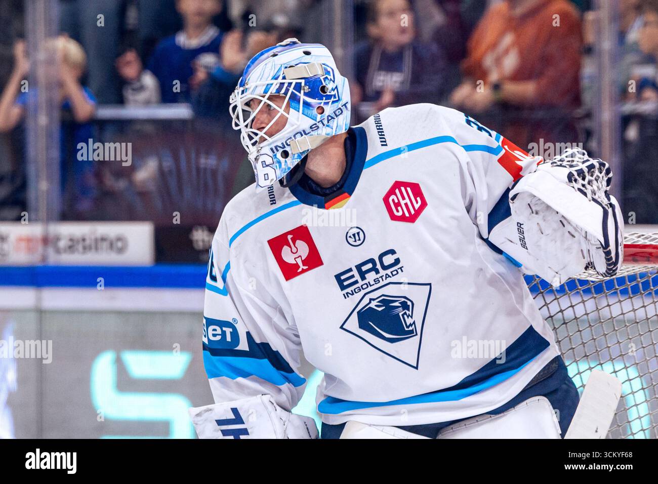 Goalie Brett Brochu #36 (Ingolstadt) - 05.09.2025 - Champions Hockey ...