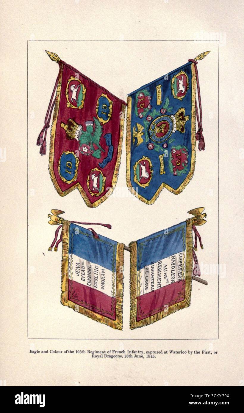 record of the First, or the Royal Regiment of Dragoons- The regimental ...