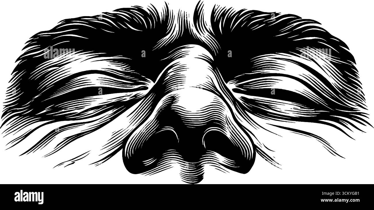 Serene face design Stock Vector Images - Alamy