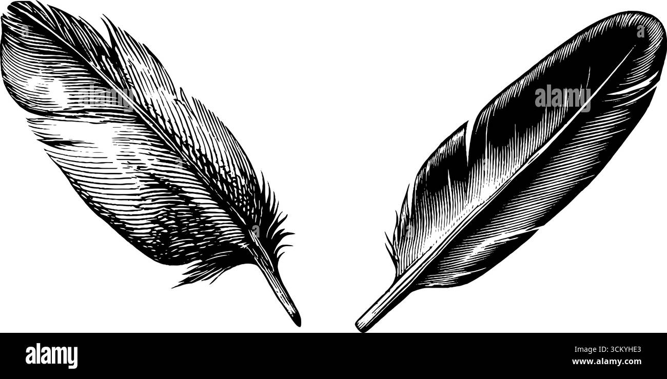 Intricate detailing Cut Out Stock Images & Pictures - Alamy