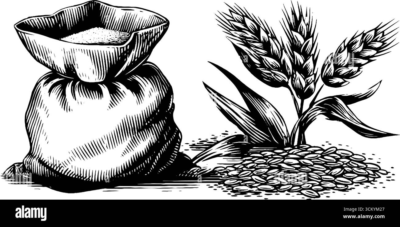 Rustic grain sack with wheat ears and flour illustration for packaging ...