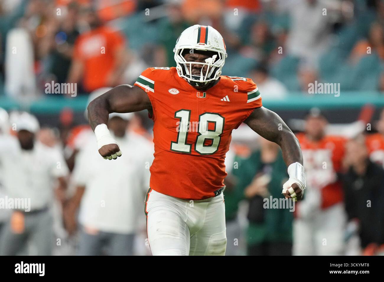 MIAMI GARDENS, FL - SEPTEMBER 13: Miami Hurricanes defensive lineman ...