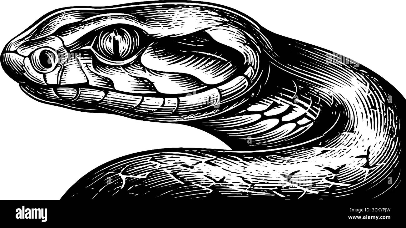 Intricate snake scale texture with light gleam and curved design for ...