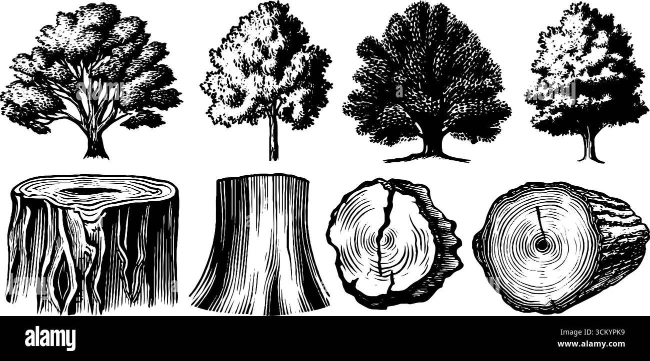 Collection of vintage tree illustrations featuring diverse tree ...