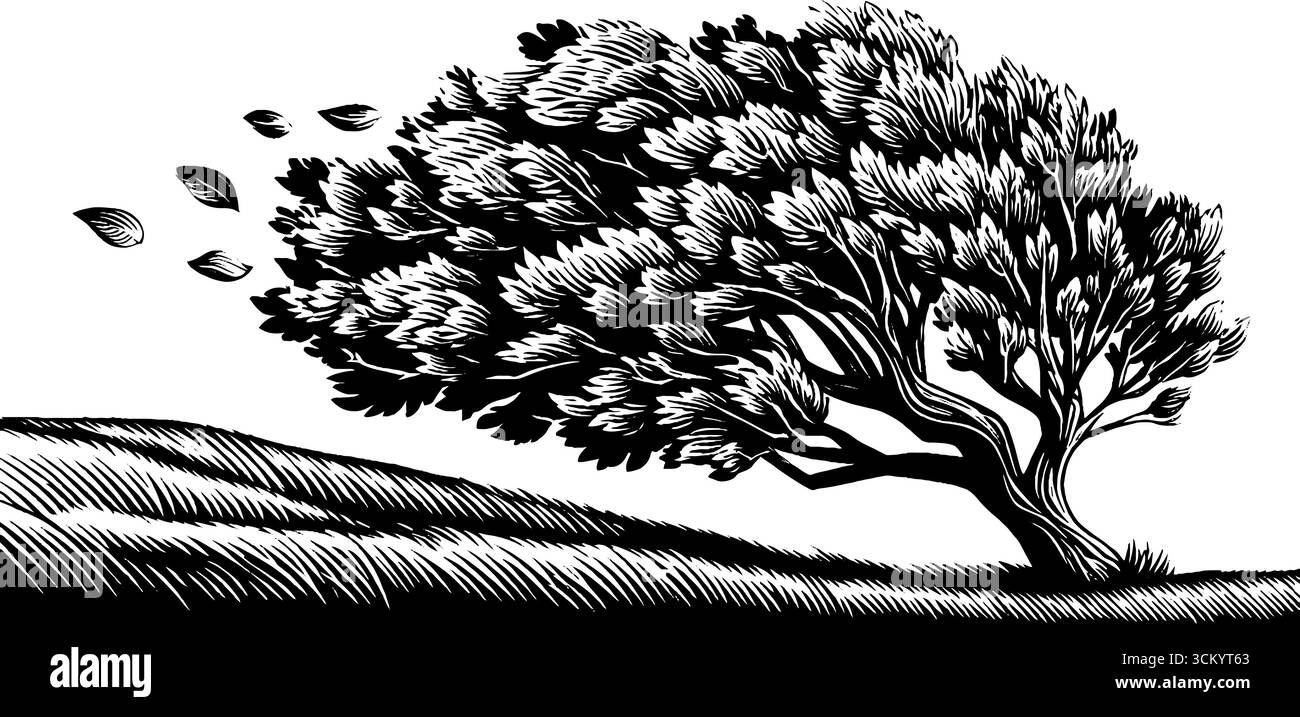 Windy autumn tree shedding leaves in black and white, nature theme for ...