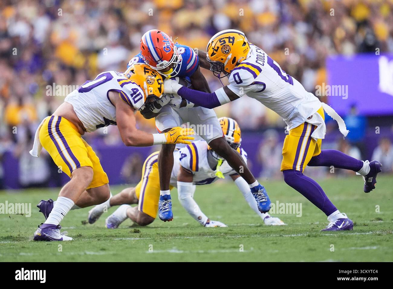 Florida wide receiver Dallas Wilson (6) is hit by LSU linebacker Whit ...