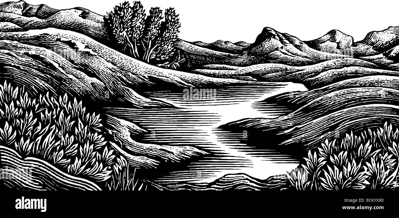 Peat marsh landscape in Stock Vector Images - Alamy
