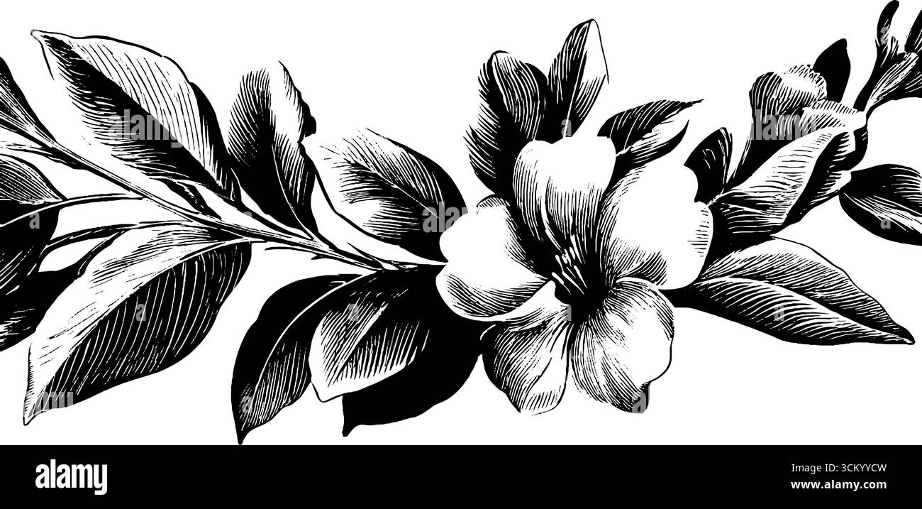 Provencal home Stock Vector Images - Alamy