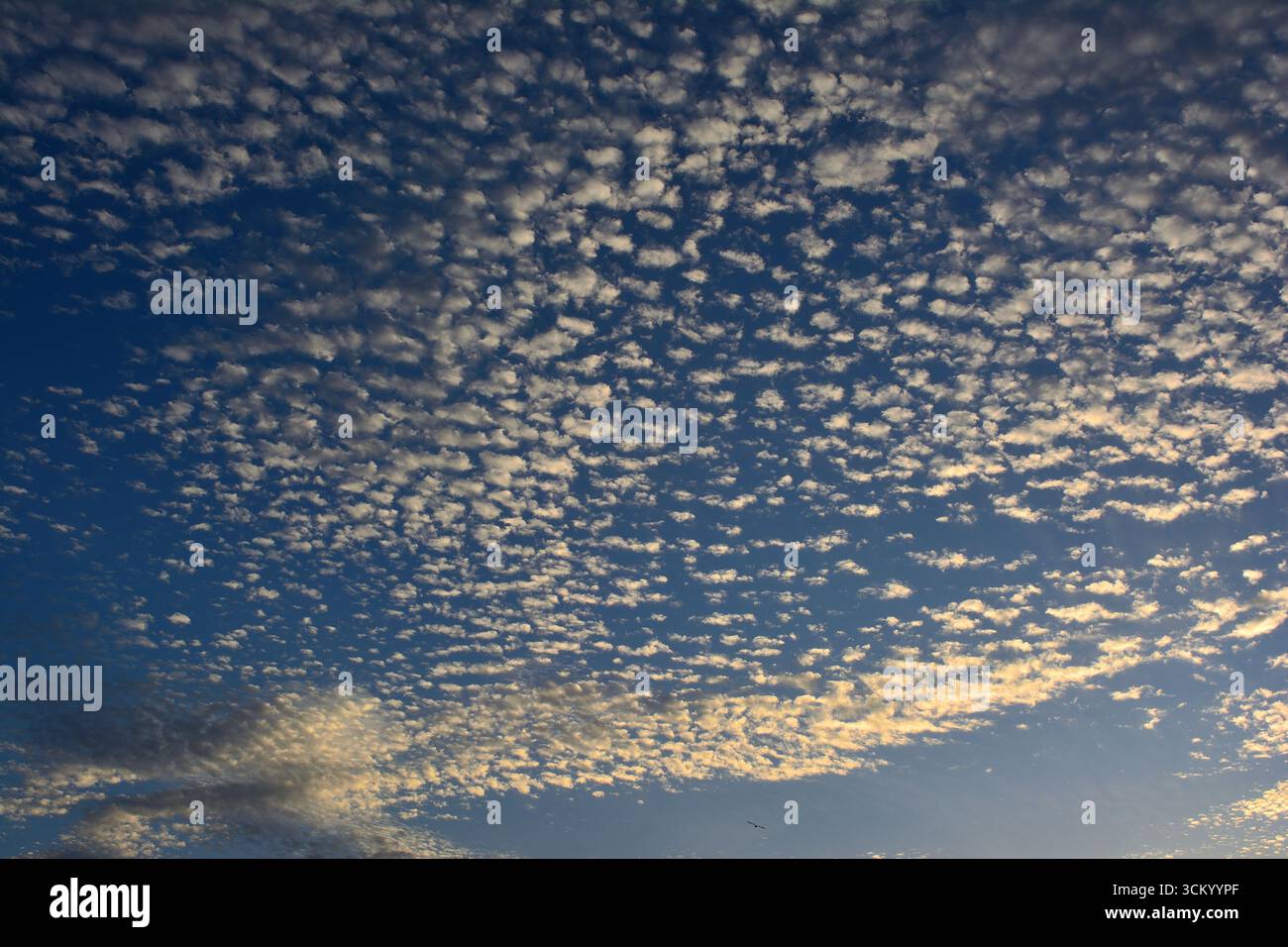 Small puffy clouds hi-res stock photography and images - Alamy