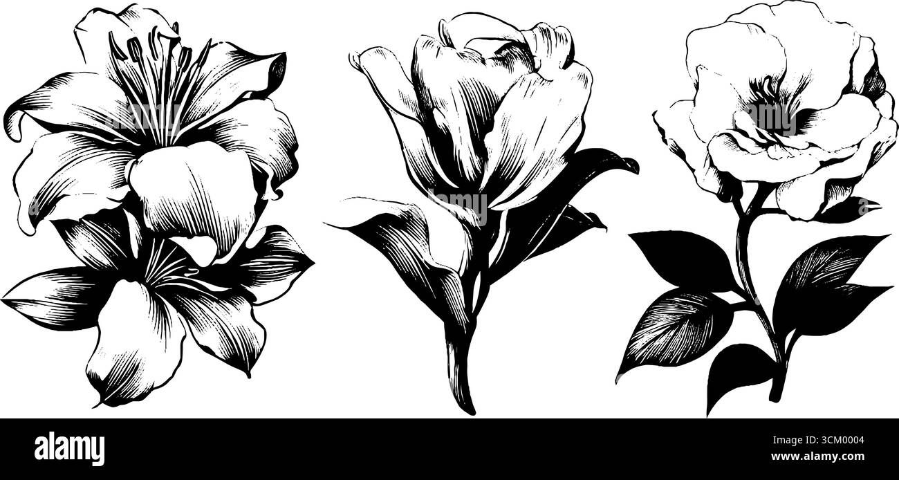 Featuring intricate blossoms Cut Out Stock Images & Pictures - Alamy