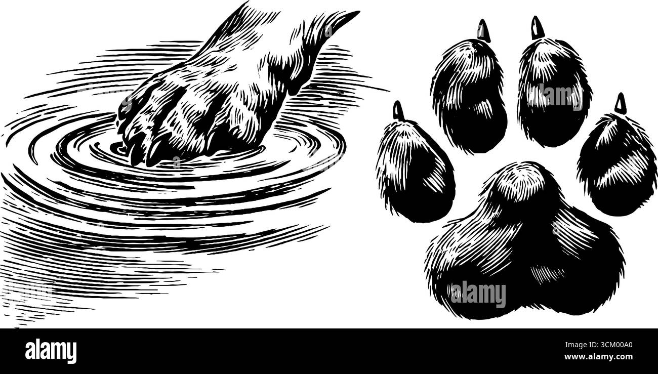 Art inspired 瑪瑙花形水盂 water Cut Out Stock Images & Pictures - Alamy