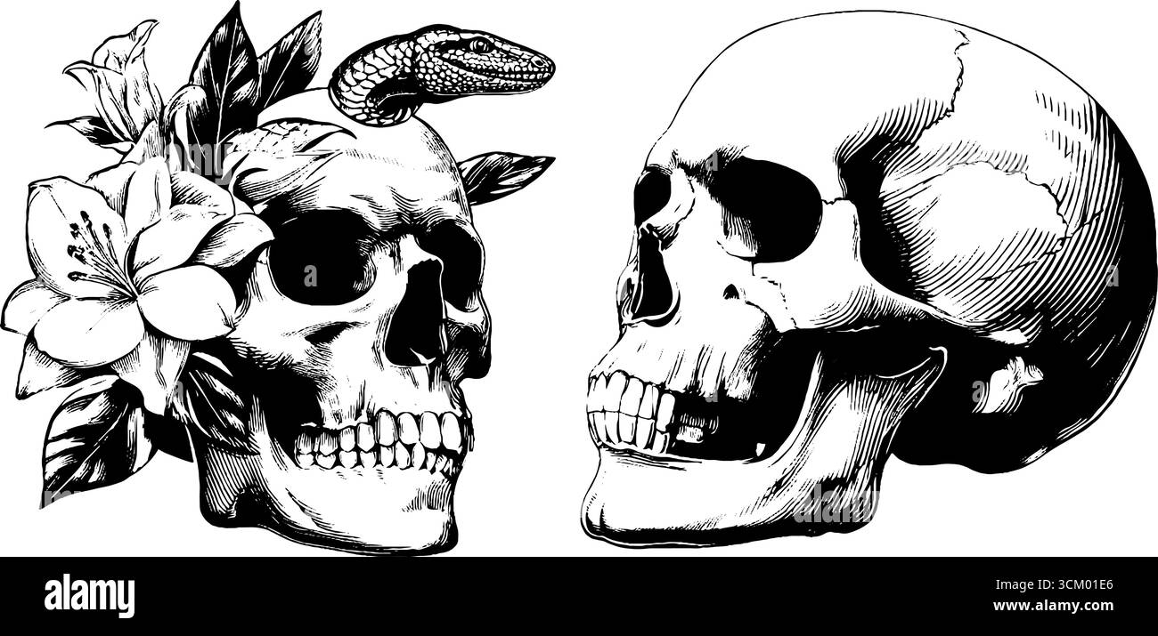 Floral skull art snake Stock Vector Images - Alamy