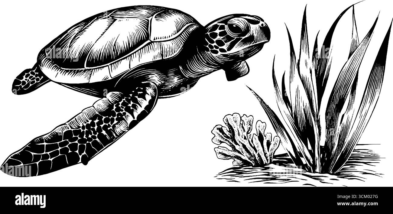 Sea turtle and seagrass art featuring flipper and aquatic plants for ...