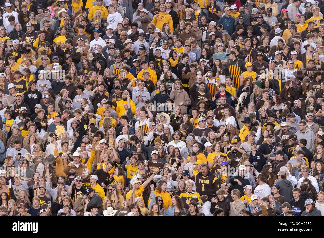 Wyoming fans cheer during the first half of an NCAA college football ...