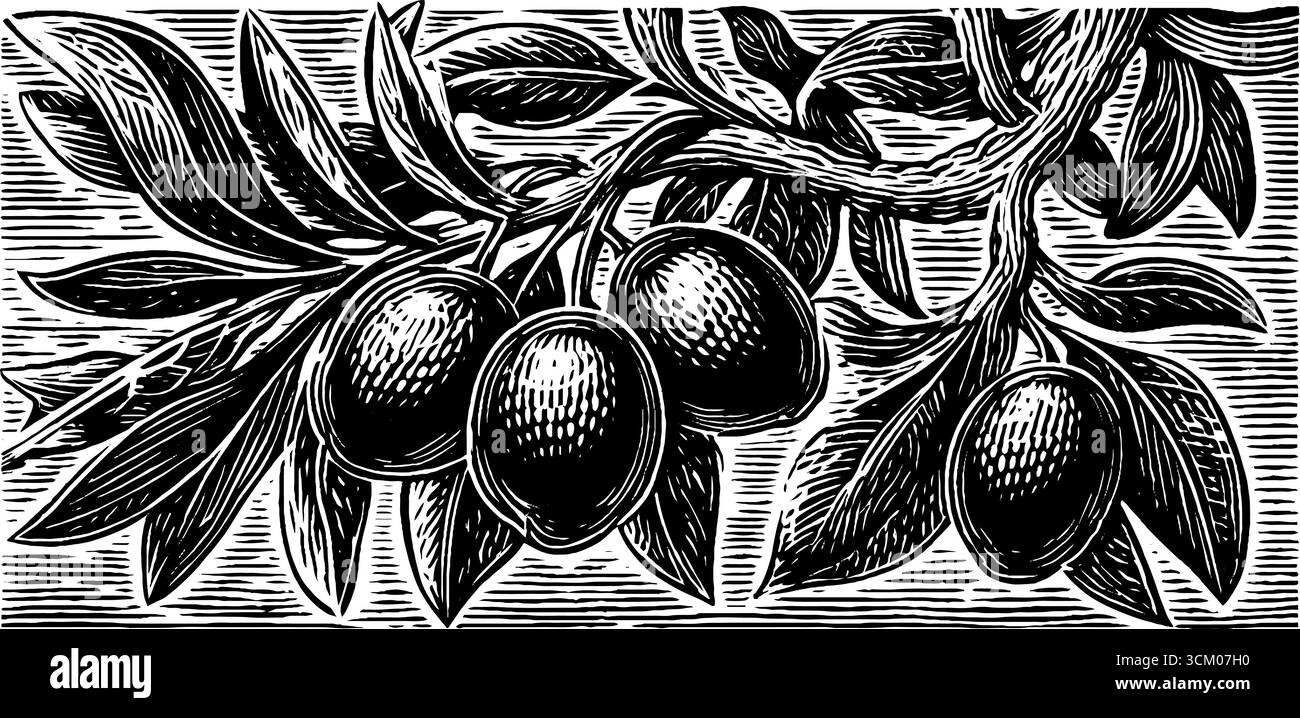 Olive nets Stock Vector Images - Alamy