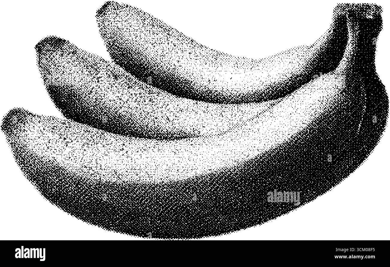 Vintage halftone banana cross section art for retro design Stock Vector ...
