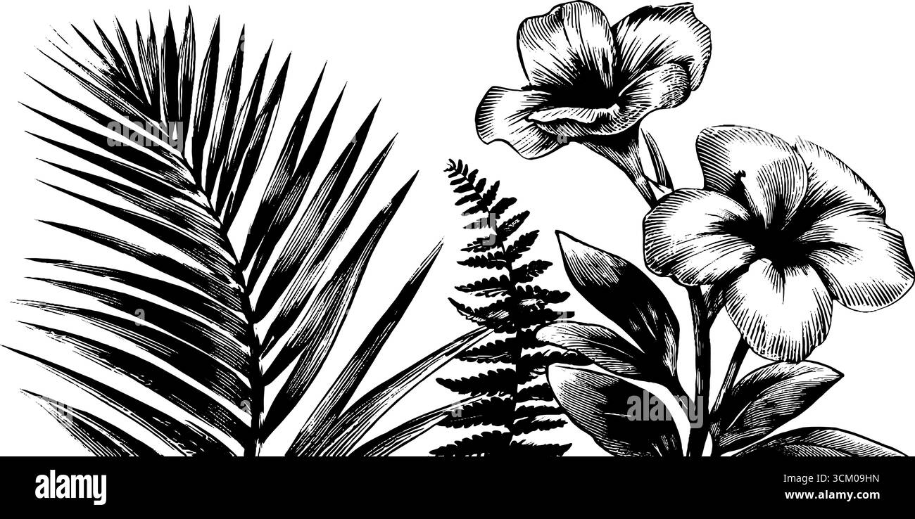 Tropical palm frond corner and fern border design for print Stock ...