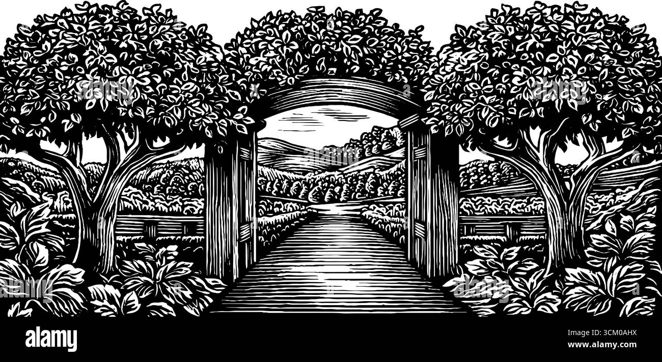 Black and white vine trellis tunnel pathway sketch for garden design ...